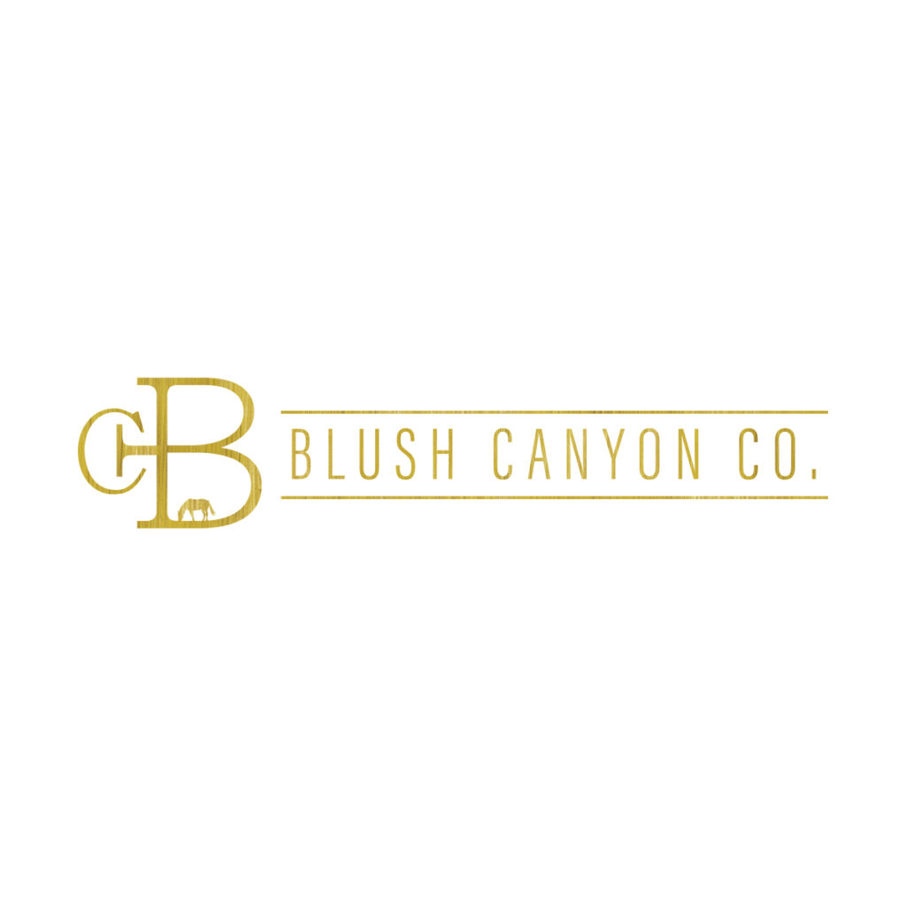 Chic Monogram Boutique Logo - Oakes Creative House